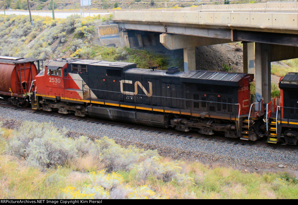 CN 2530